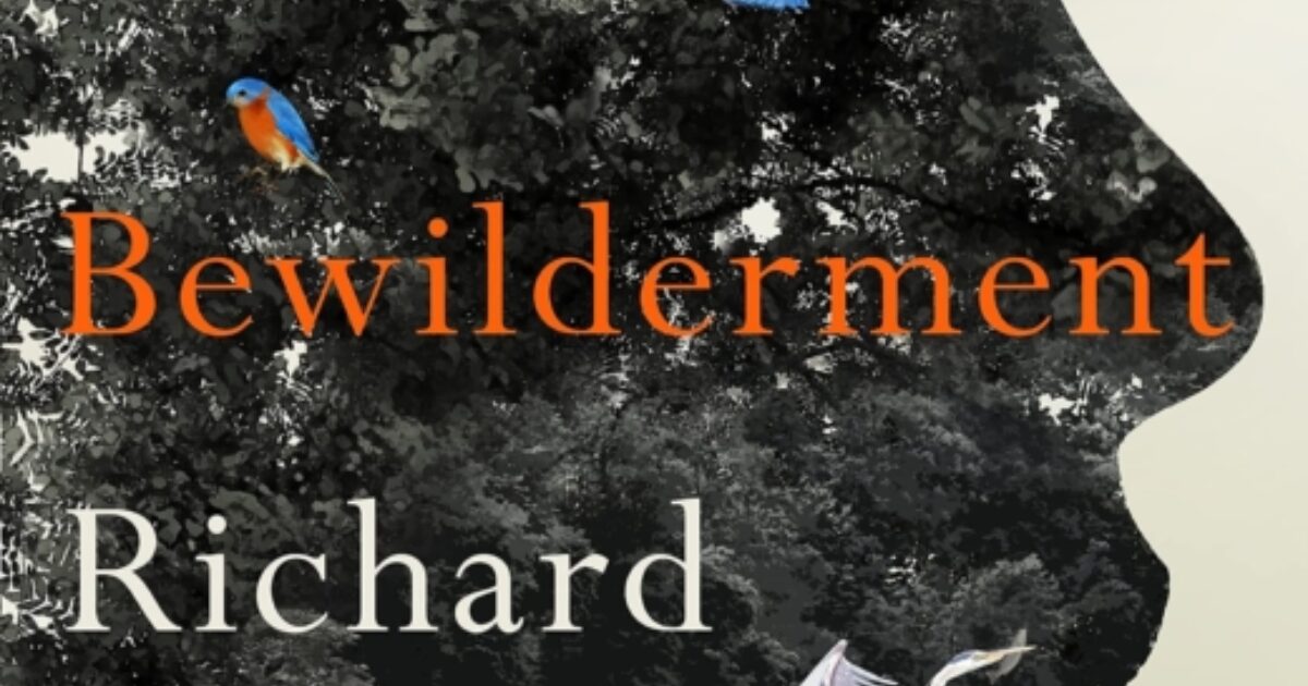Bewilderment | RCW Literary Agency